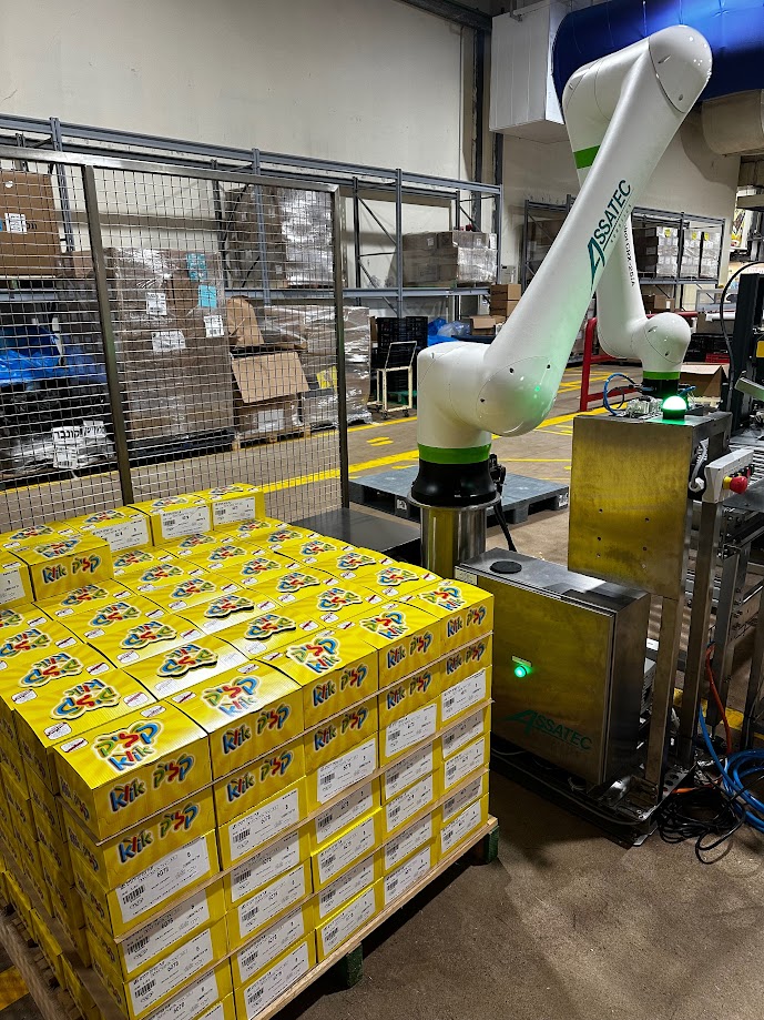 Packaging Robots: Advanced Automation Solutions | Assatec